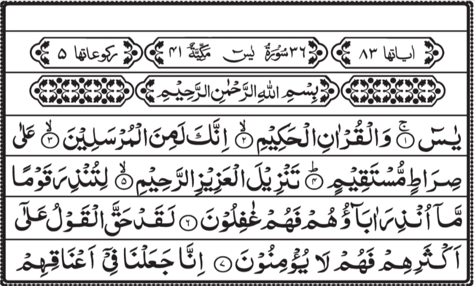 Surah Yaseen – Read Online, PDF Download, MP3 Audio & Benefits - surah ...